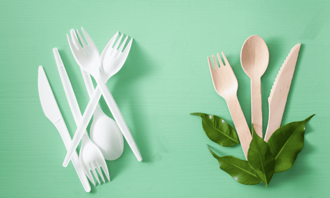 Plastic & Sustainability: Understanding Types, Disposal Methods ...