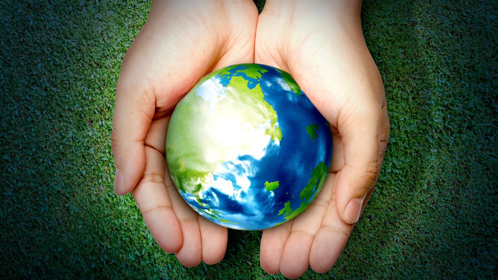 Earth Hour in the Workplace